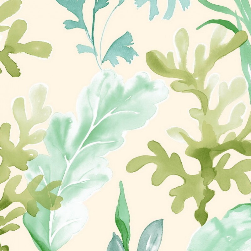 Green Coral Wallpaper