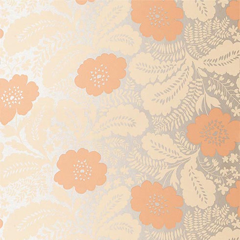 Salmon Color Wallpaper